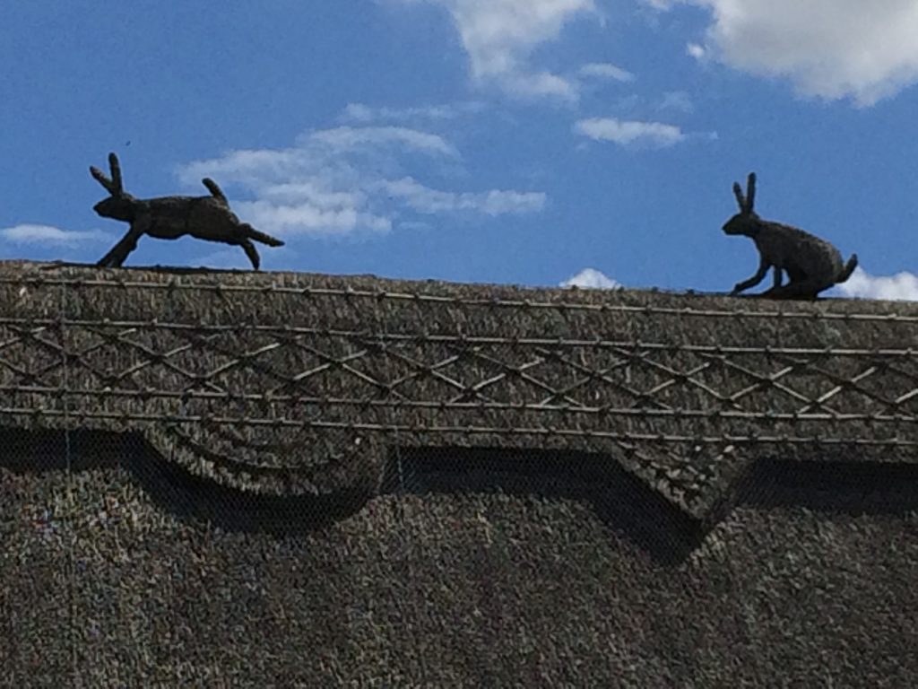 Thatched Animals on the Move – Running Hares - Saffron Walden Sweeps